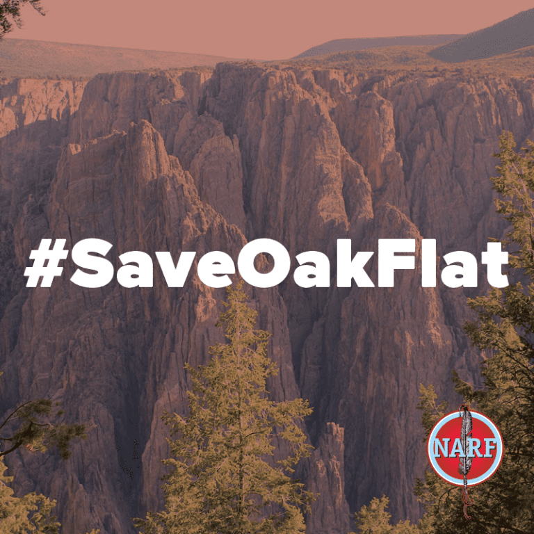 Protecting Oak Flat and Tribal Religious Practices (Apache Stronghold v. U.S.) - Native American ...