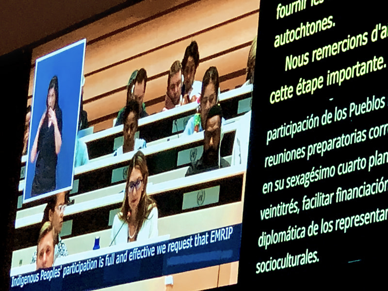 Indigenous Intellectual Property - Native American Rights Fund