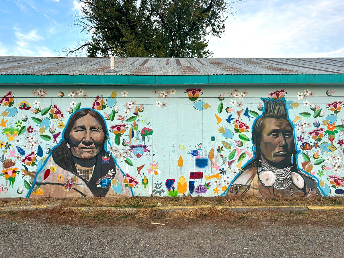Election resources: Voter hotline and poll watchers - Native American ...