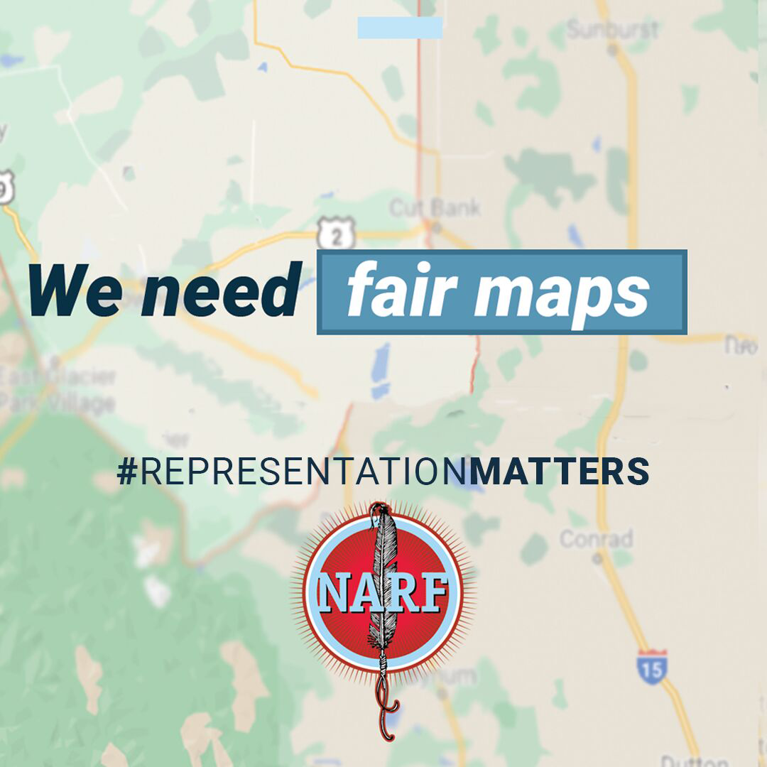 Voters and Tribal Nations defend critical ND redistricting win from ...